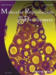 Kamei Lab of 光学解析室 NIBB Spectrography and Bioimaging Facility