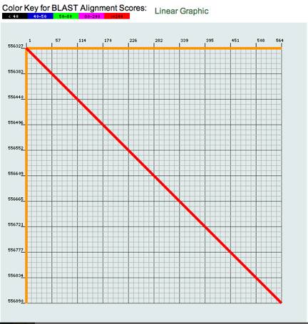 Retrieving Genomic Sequences Using the Available Web-Based Browsers